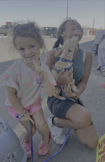 Deming Animal Guardians Reports Adoption Success, Seeks New Board ...